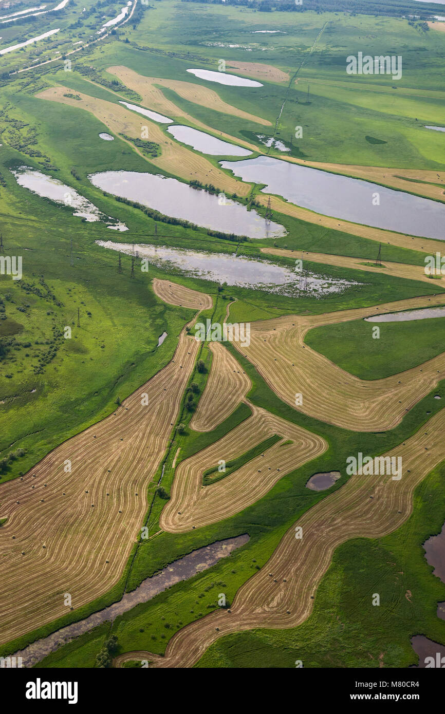 Top view of a waterlogged meadow in summer Stock Photo - Alamy