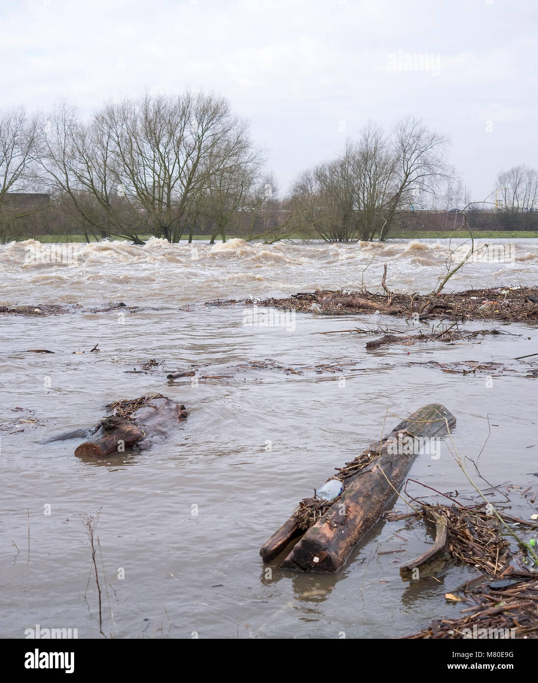 Flood debris washed up on the River Trent near Sawley, Derbyshire, UK ...