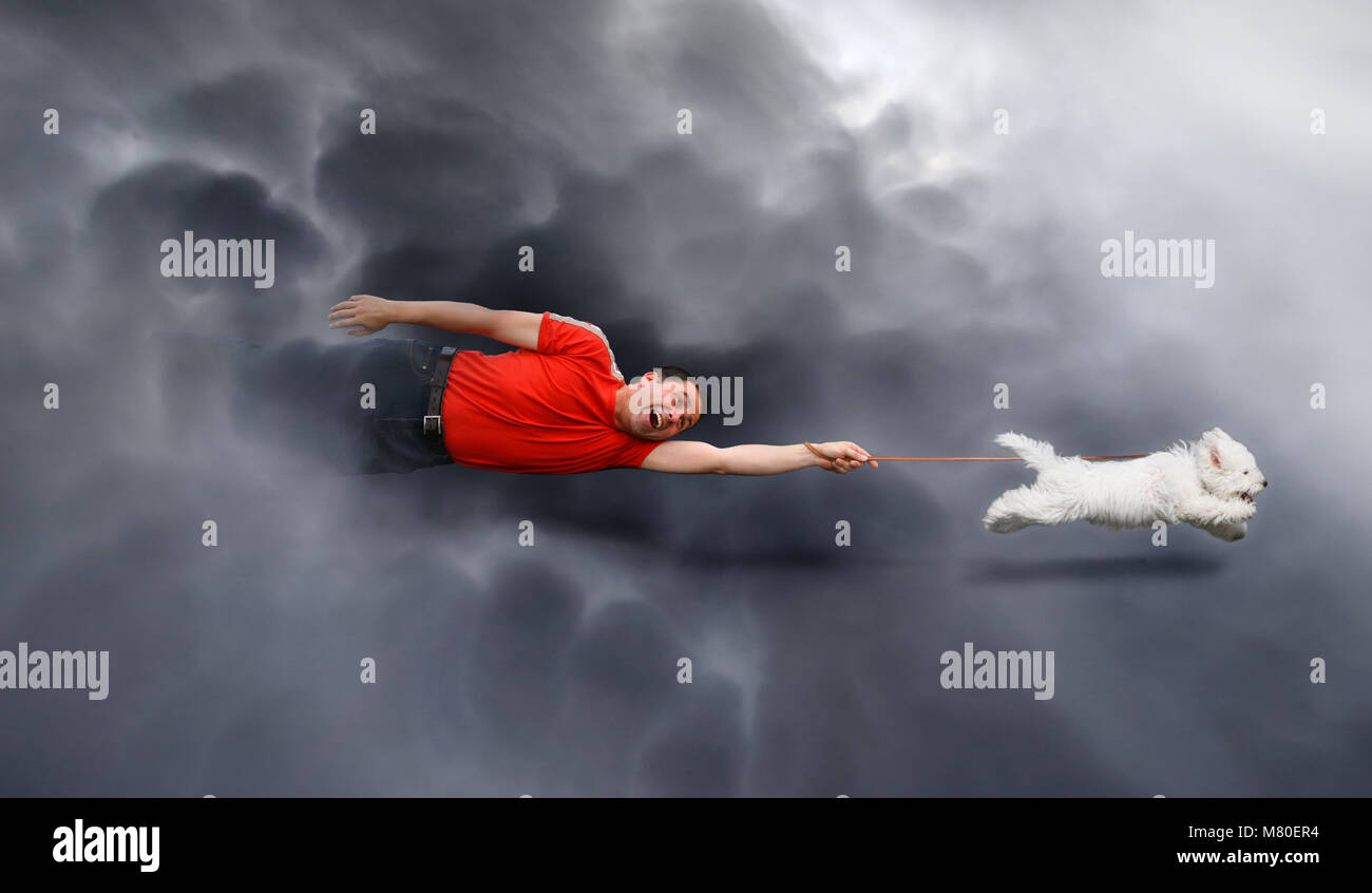 Funny man disobedient dog hi-res stock photography and images - Alamy