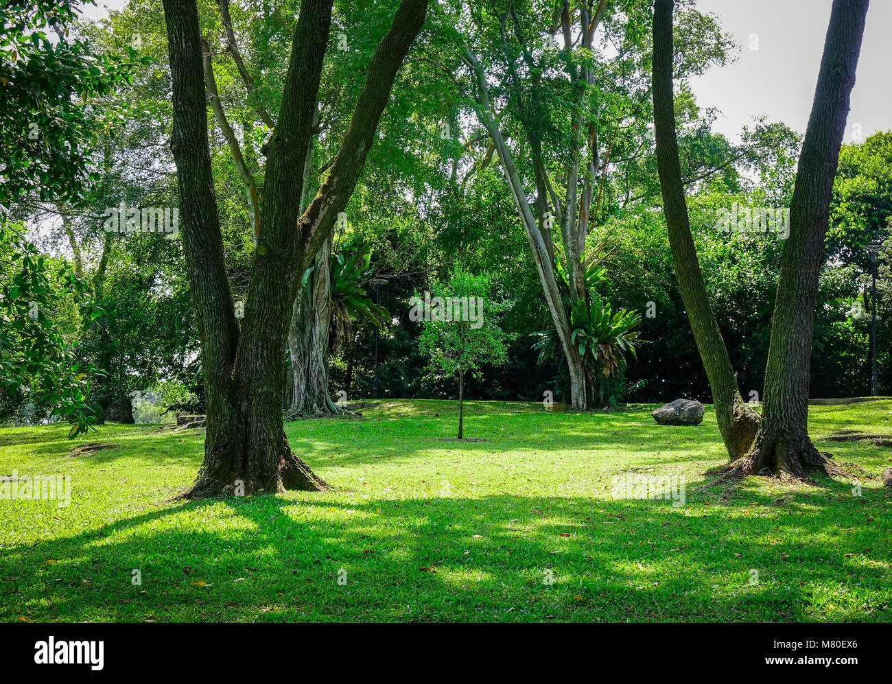 Green garden of public park in Bugis District, Singapore Stock Photo ...