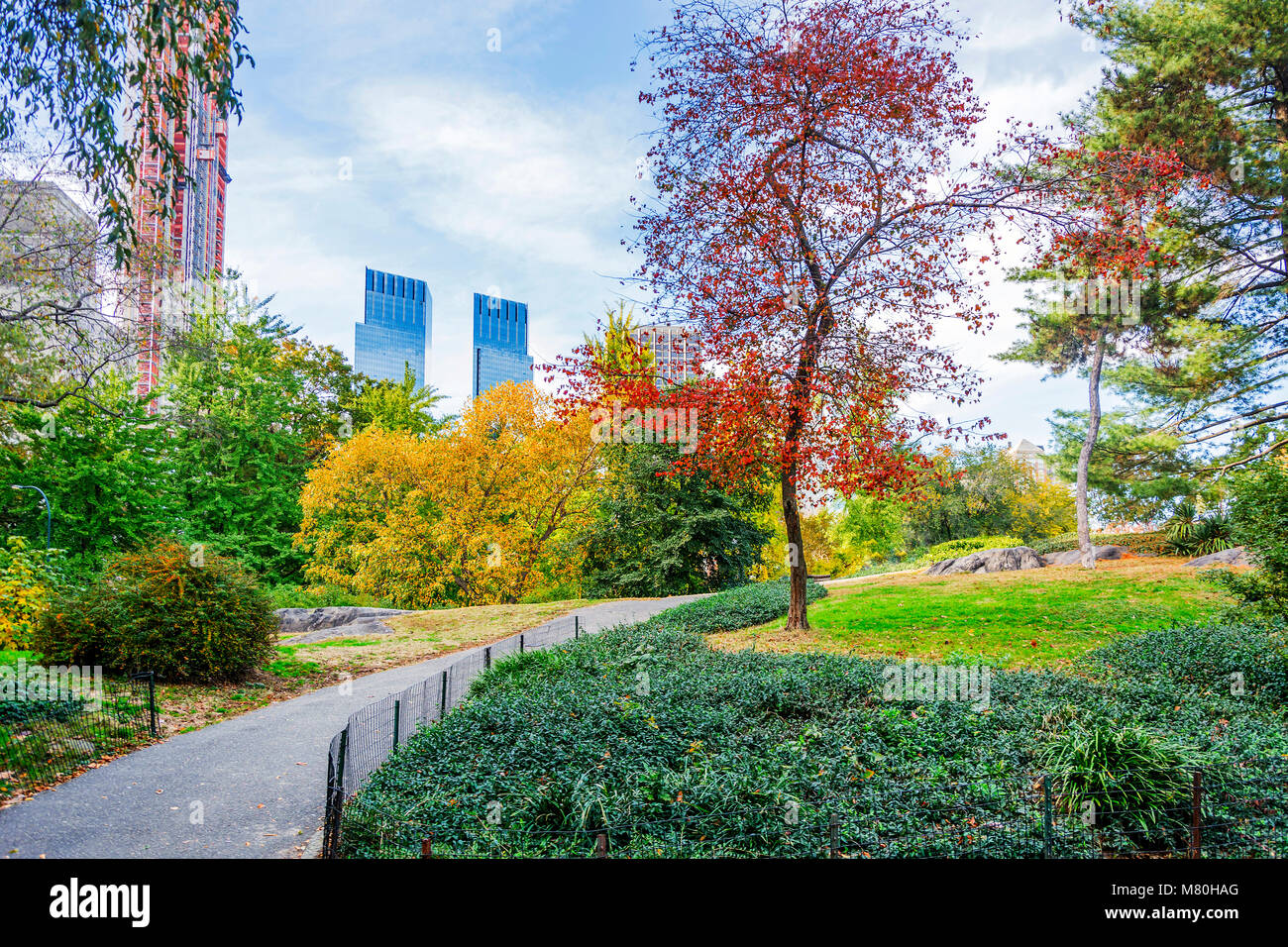 Beautiful Sunny Day City
