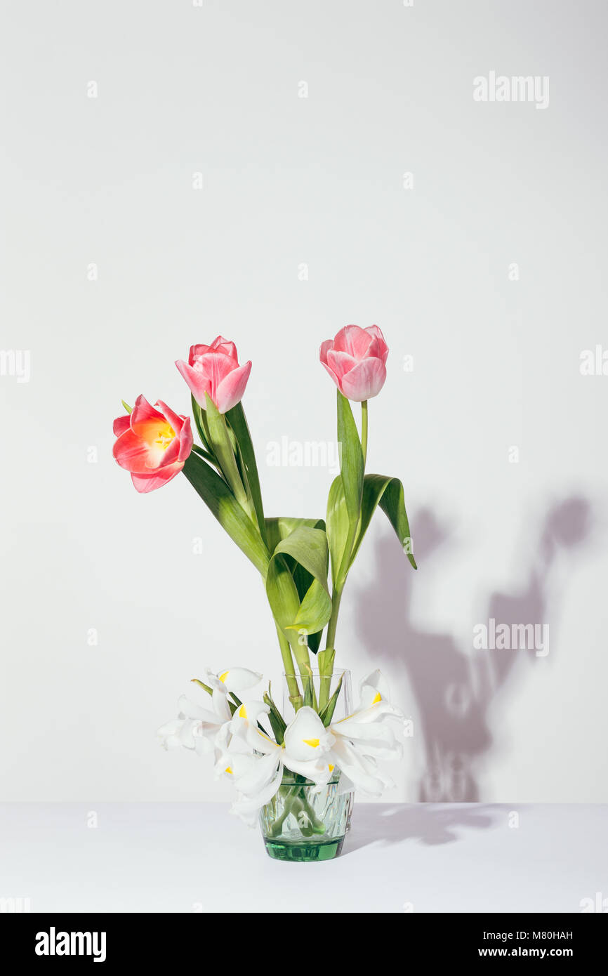 Minimal framing hi-res stock photography and images - Alamy