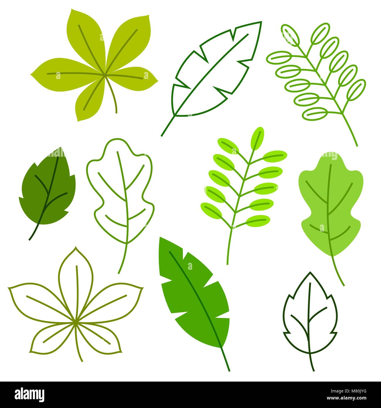 Summer foliage color Stock Vector Images - Alamy