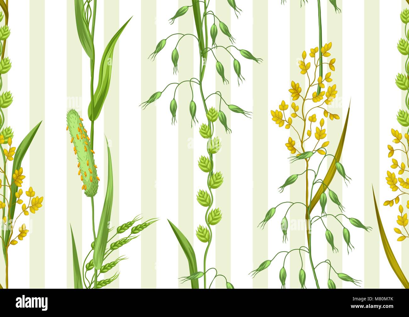 Meadow plants pattern Stock Vector Images - Alamy