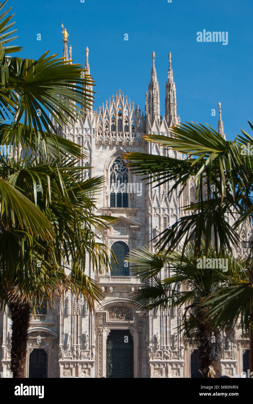 View of the Milan Cathedral through the palm trees with a clear and ...