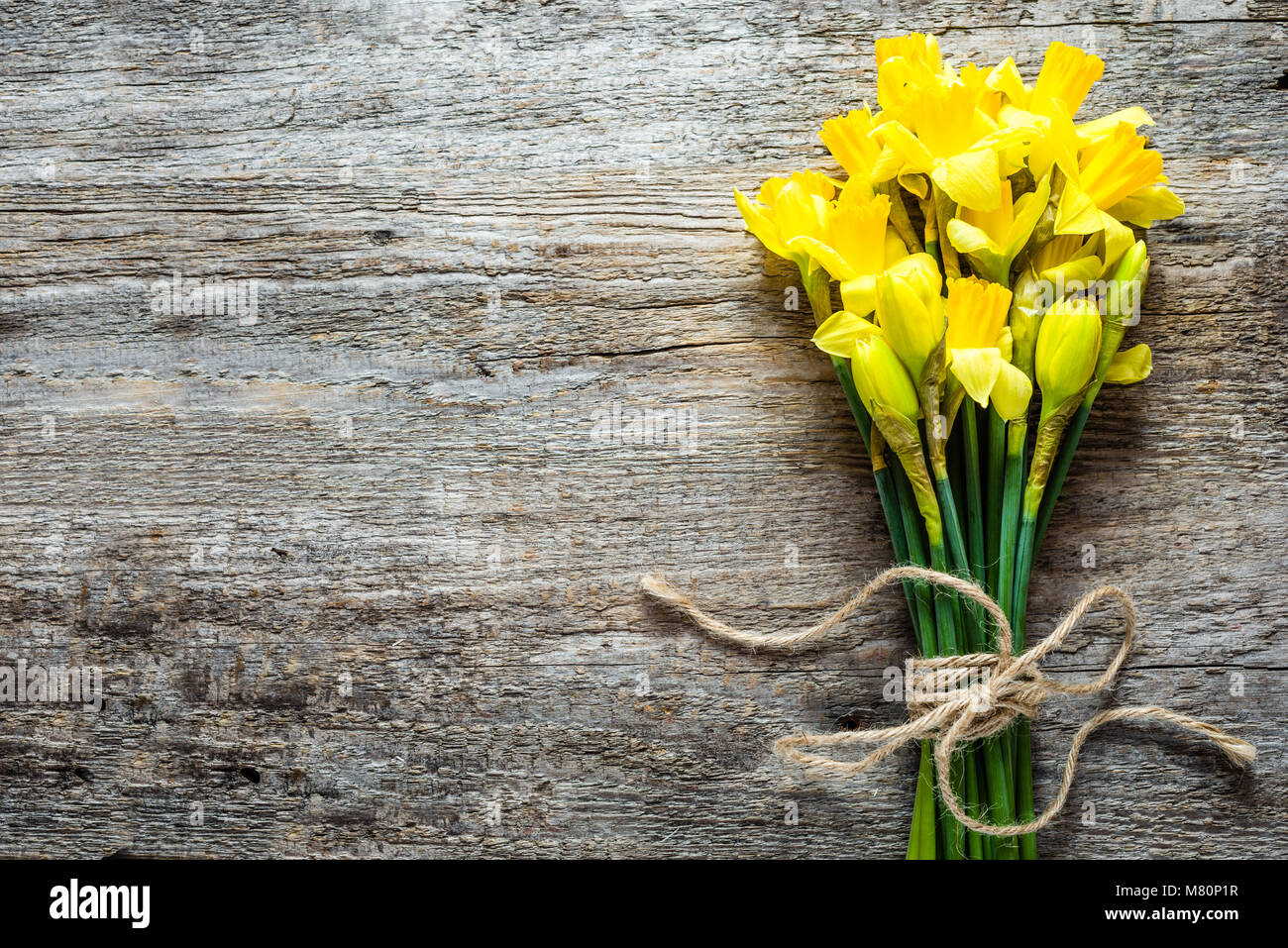 Daffodils Background