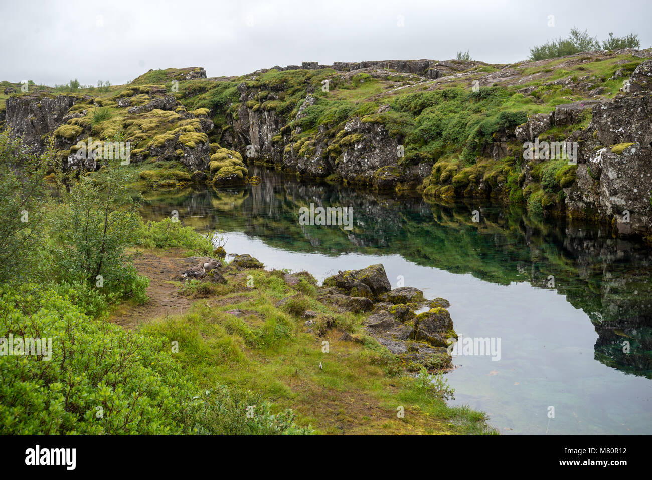 The Silfra fissure, Þingvellir, where the European and American Plates ...