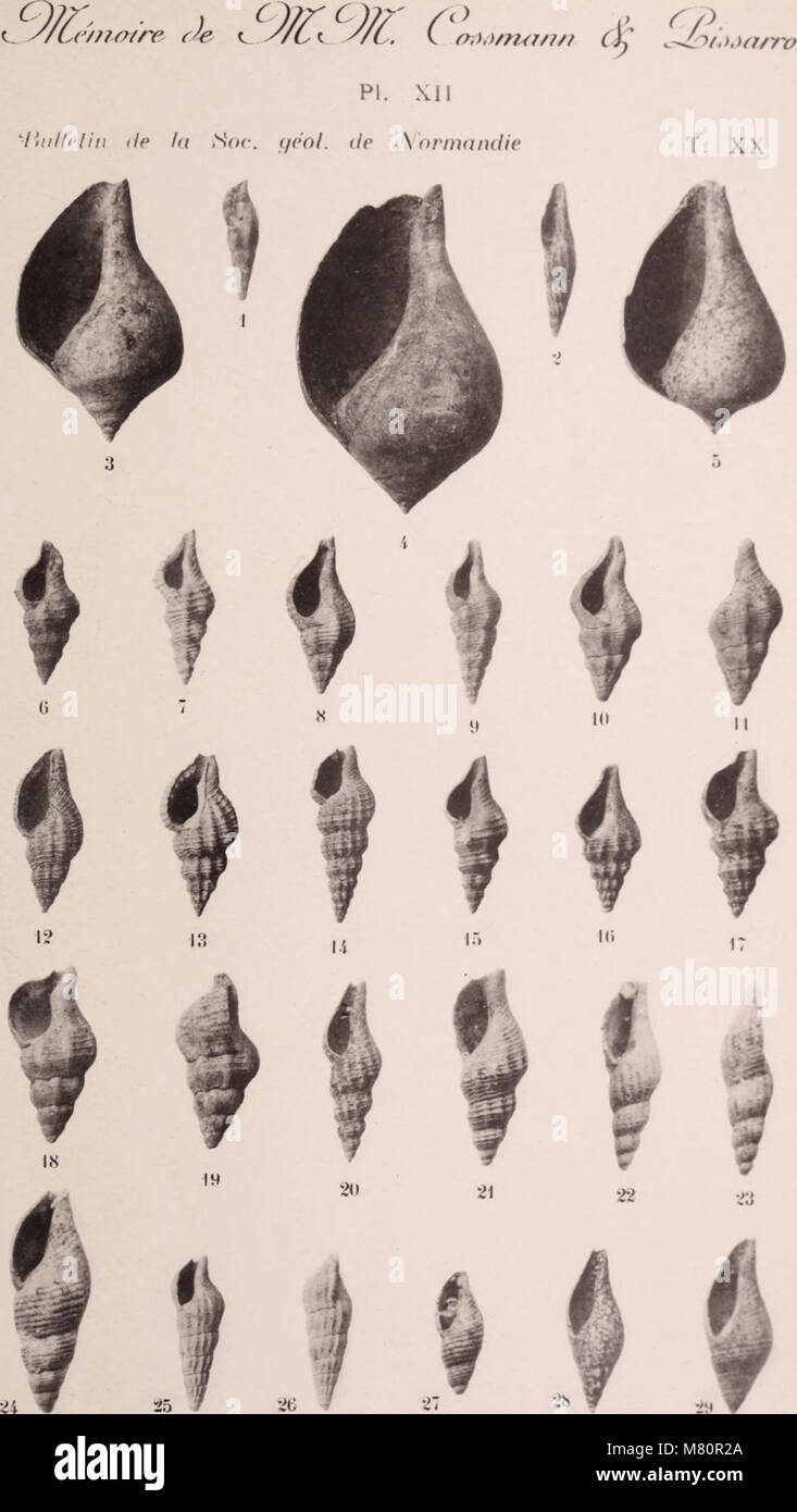 This 1896 bulletin from the Geological Society of Normandy includes ...