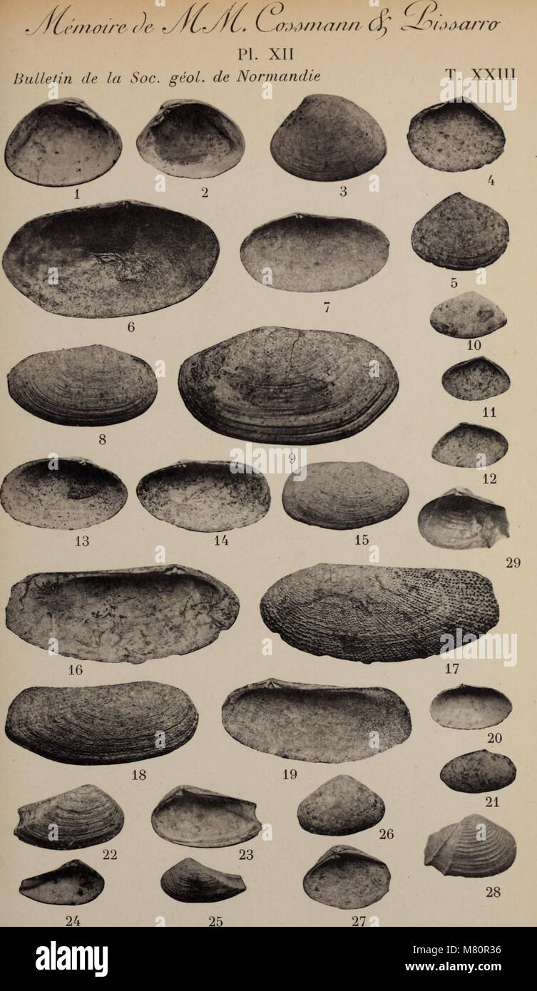 The Bulletin of the Geological Society of Normandy, published in 1903 ...