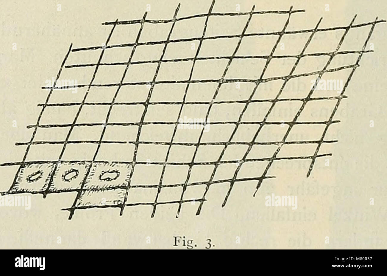 This bulletin, published between 1892 and 1911, features scientific ...