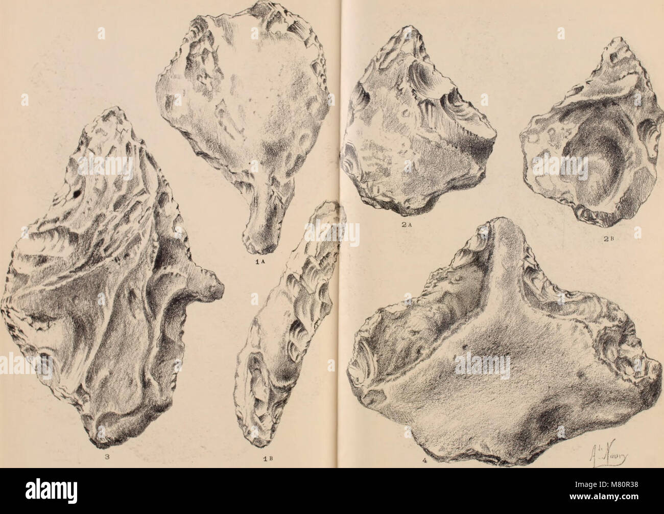 This publication from 1903 presents research and findings related to ...