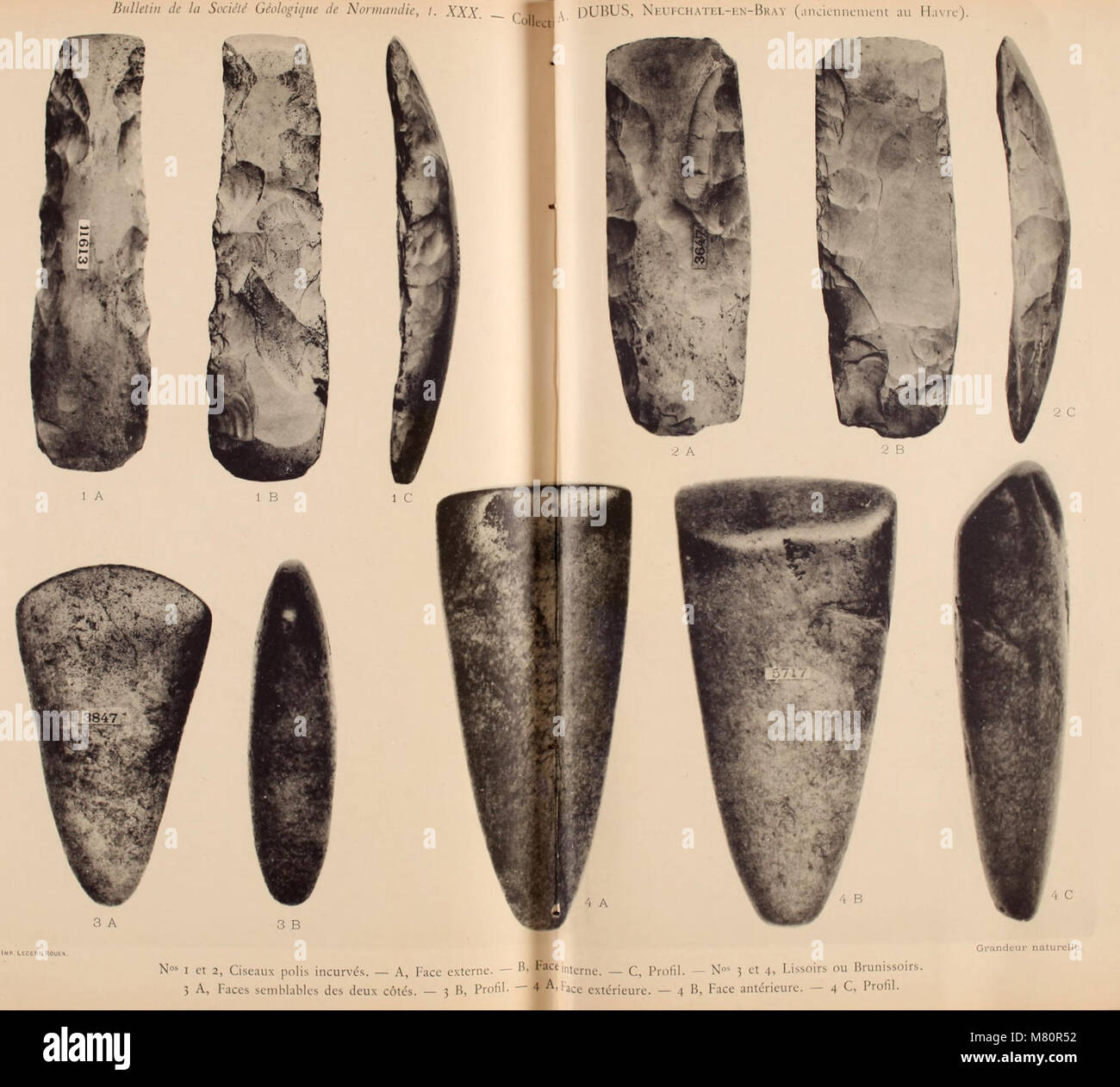 The 1908 Bulletin of the Geological Society of Normandy includes ...