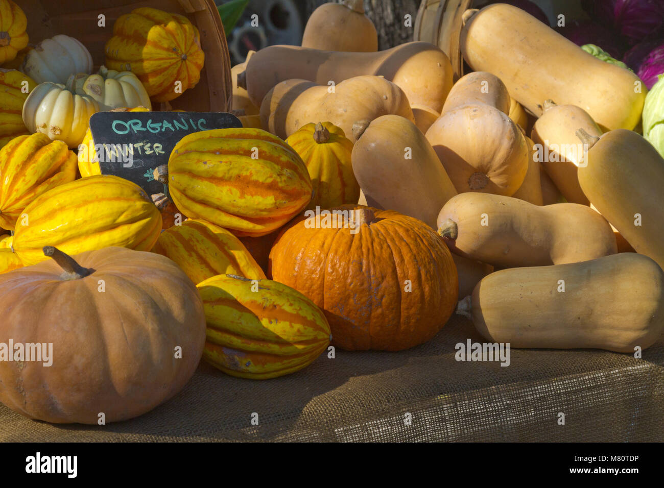 Squash for sale at a farmer's market in Santa Barbara, California, USA ...