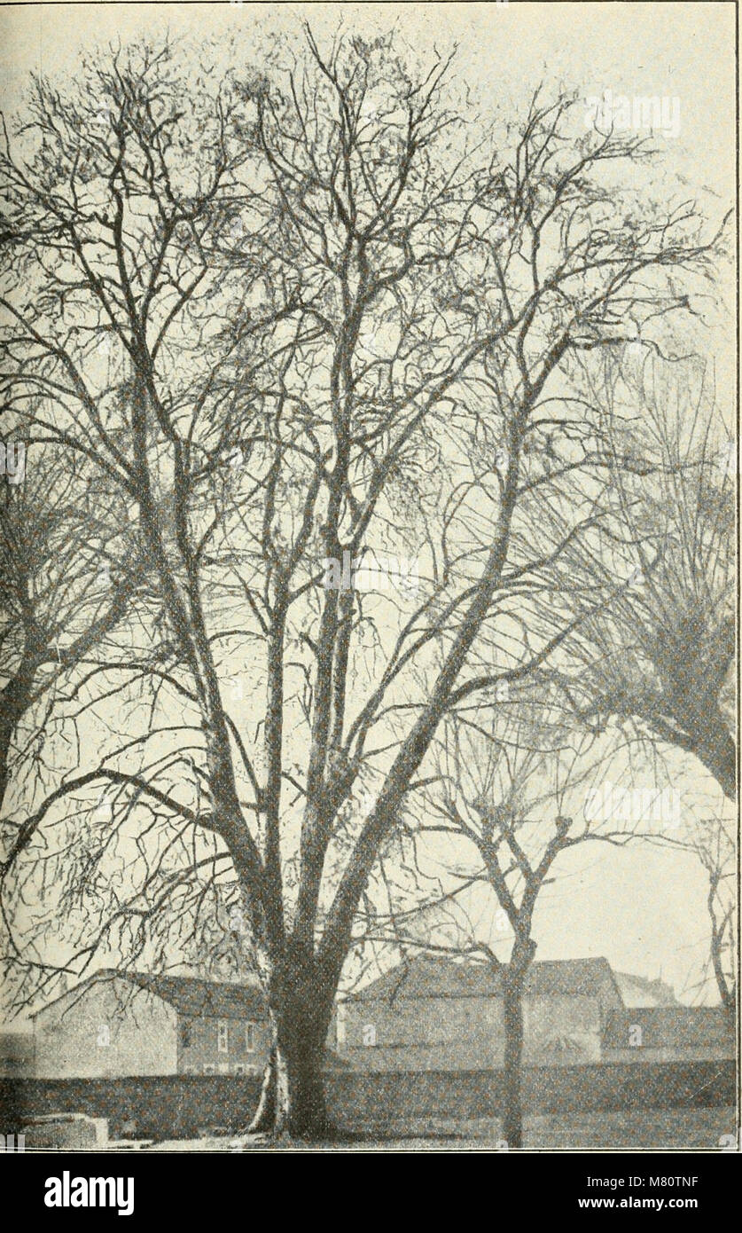 The Bulletin of the Society for the Protection of Landscapes in France ...