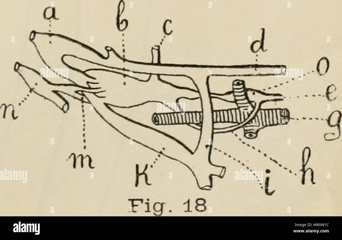 The 'Buletinul Societii de Ciine din Bucuresti' (1892), also known as ...