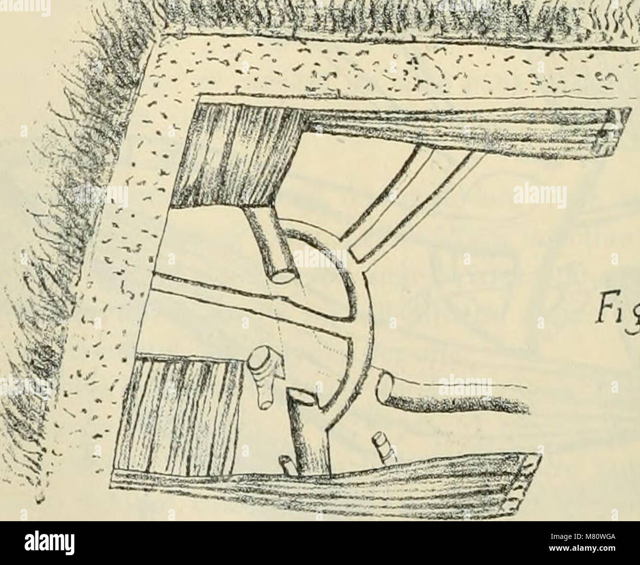 The 'Buletinul Societii de Ciine' (1899) is a Romanian scientific ...
