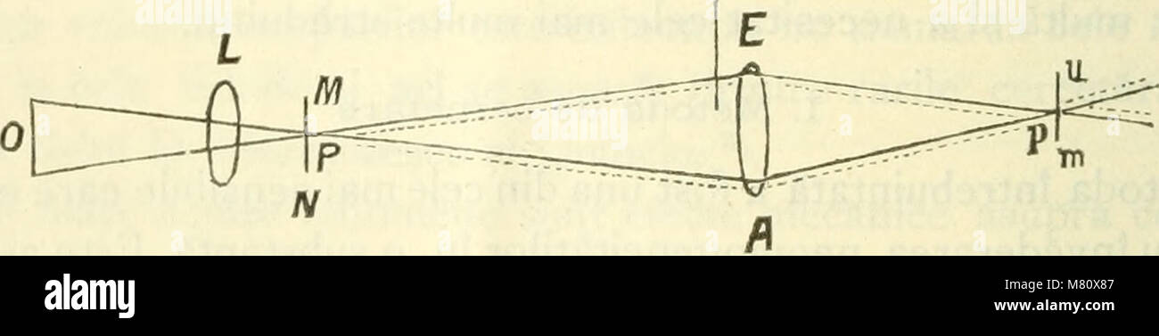 The Bulletin of the Society of Sciences in Bucharest, Romania (1911 ...