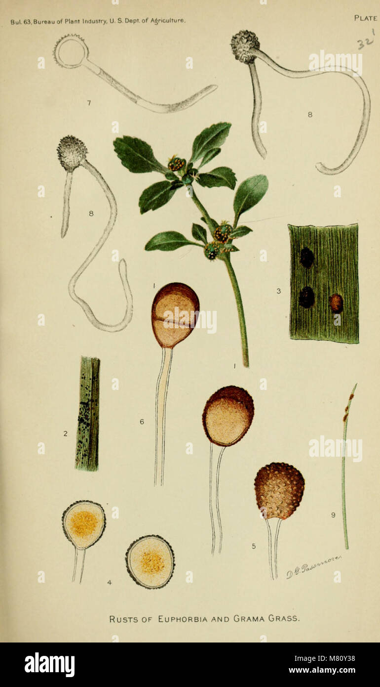 The Bulletin (1901-1913) is a series of scientific publications that ...