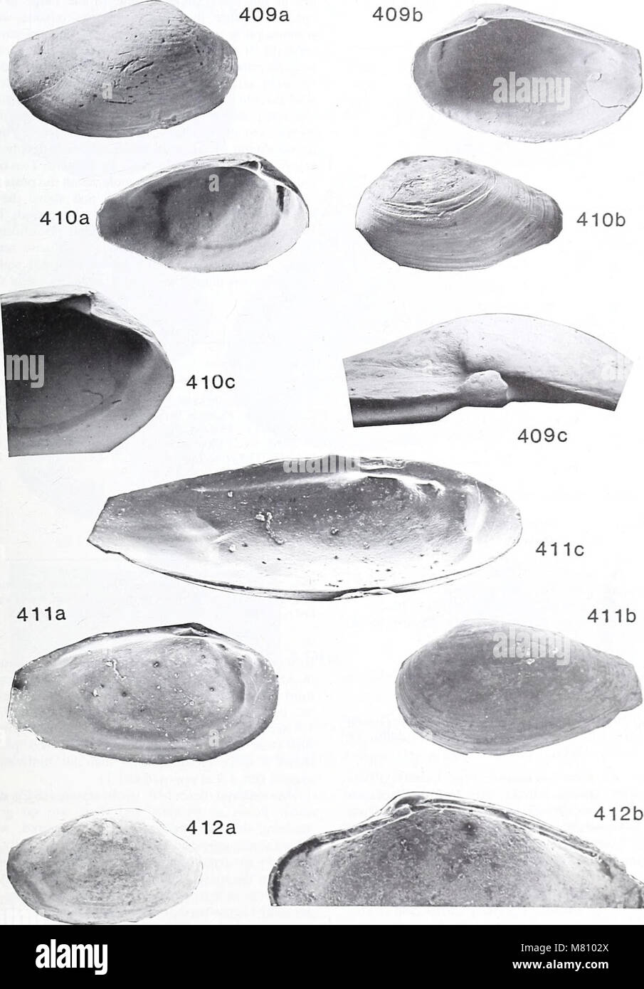 The 1990 Bulletin of the British Museum (Natural History) on Geology ...