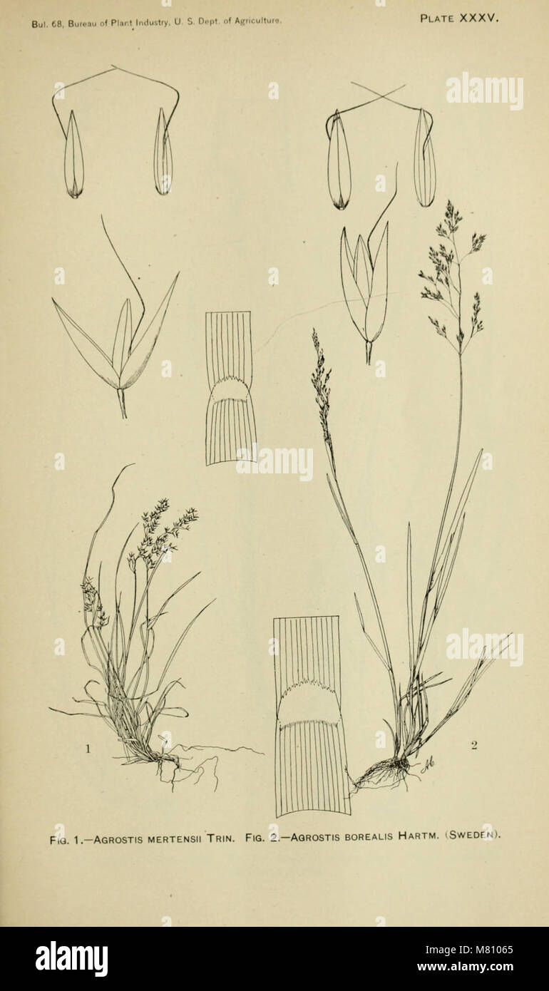 The 'Bulletin' (1901-1913) is a periodical publication containing a ...