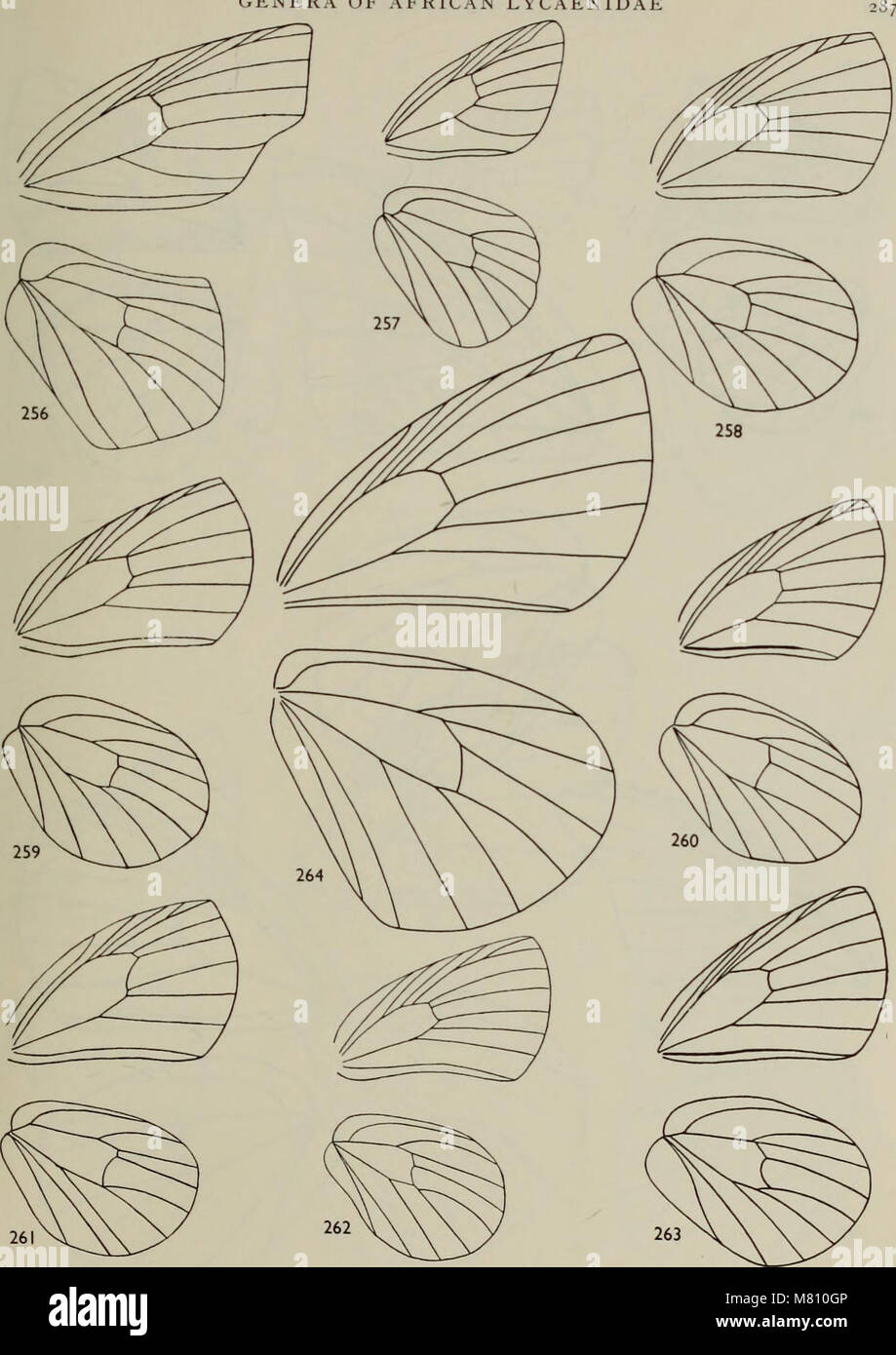 Entom hi-res stock photography and images - Alamy