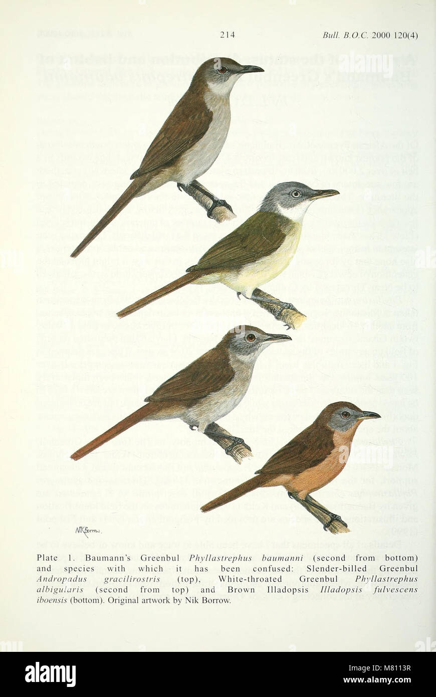 The Bulletin of the British Ornithologists' Club, published in 2000, is ...