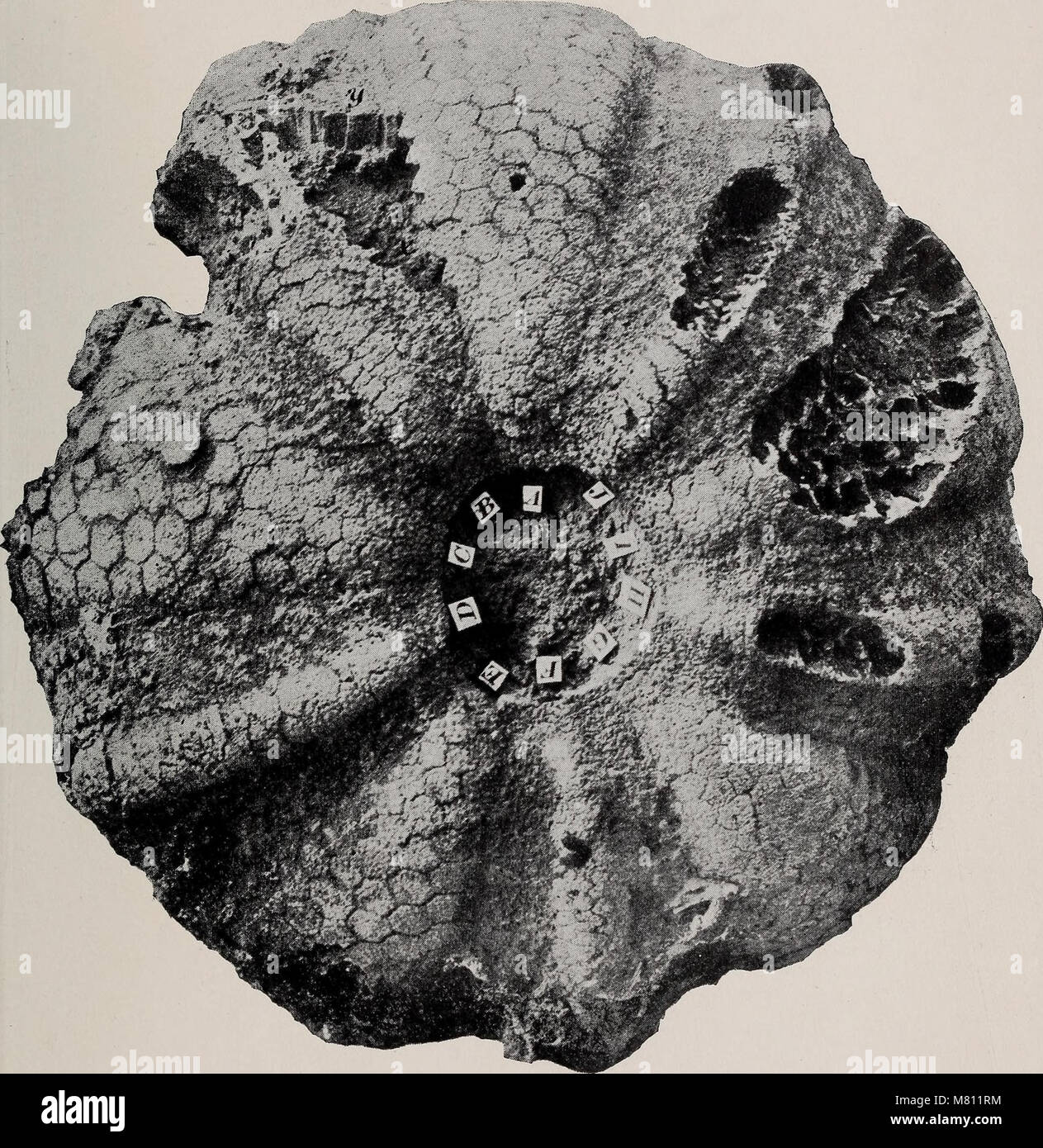 The 1895 Bulletin of the Geological Society of America presents new ...