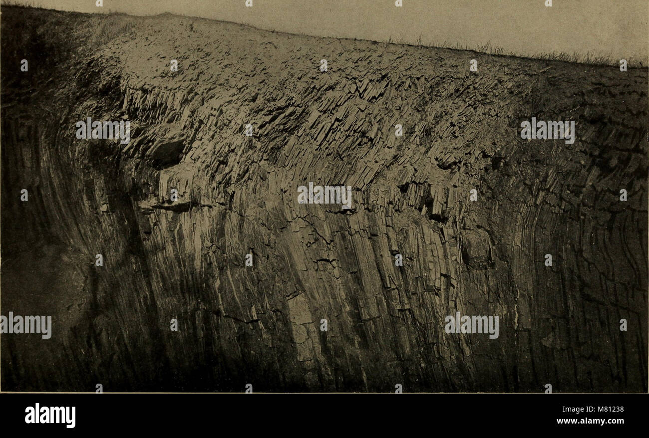 The 1905 Bulletin of the Geological Society of America features studies ...