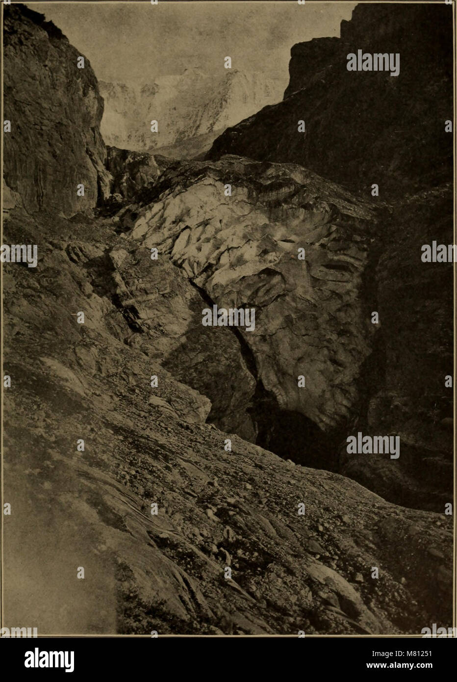 The 1905 Bulletin of the Geological Society of America presents studies ...