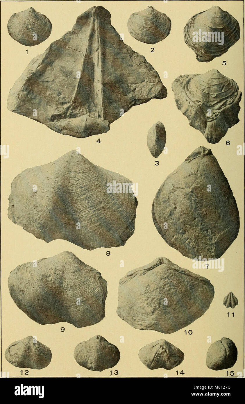 The 1909 Bulletin of the Geological Society of America publishes ...