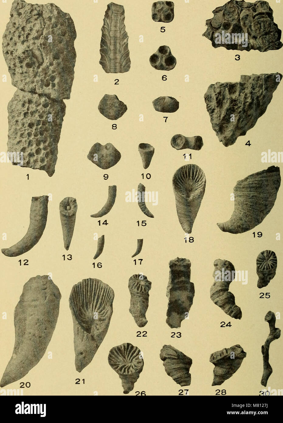 The 'Bulletin of the Geological Society of America' (1909) publishes ...