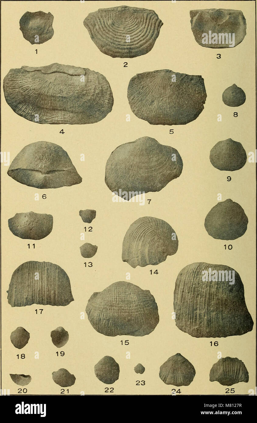 The 1909 Bulletin of the Geological Society of America features ...