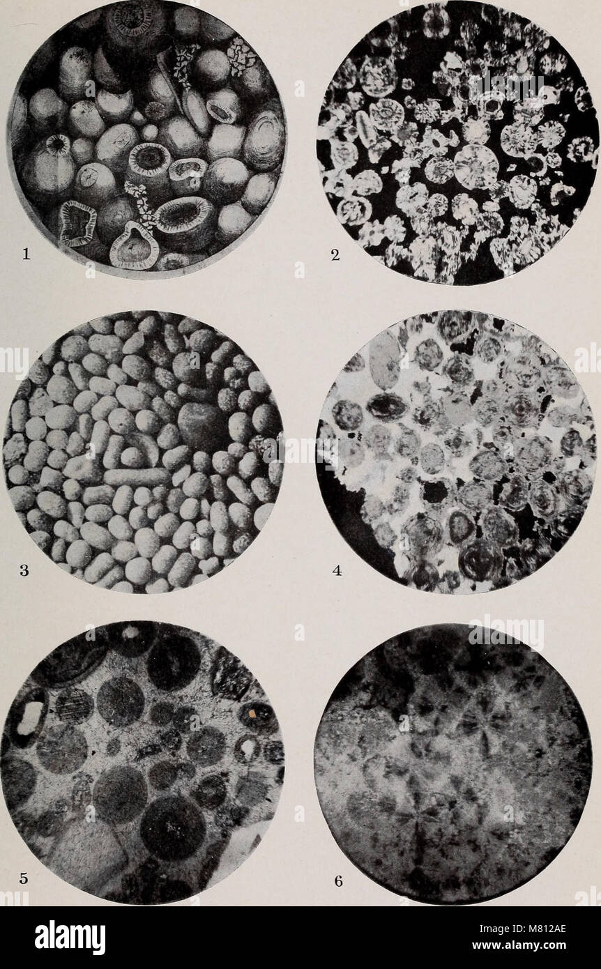 The 1914 Bulletin of the Geological Society of America features ...