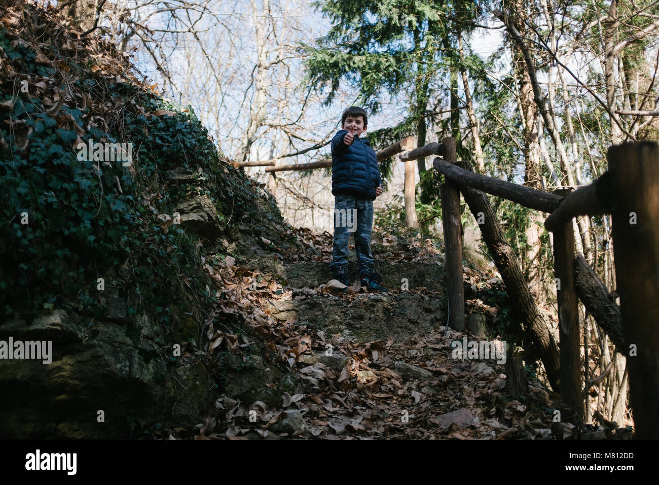 child walks on a path in the woods Stock Photo - Alamy