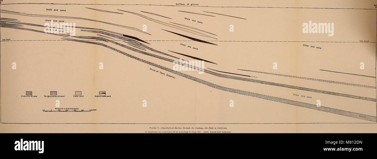 The Bulletin of the Geological Society of America (1917) contains ...