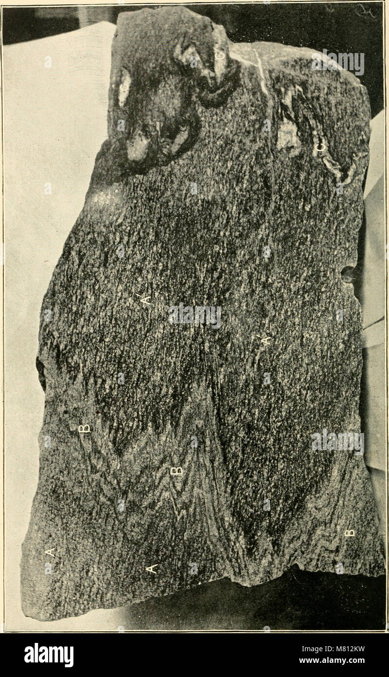 The 'Bulletin of the Geological Society of America' publishes research ...