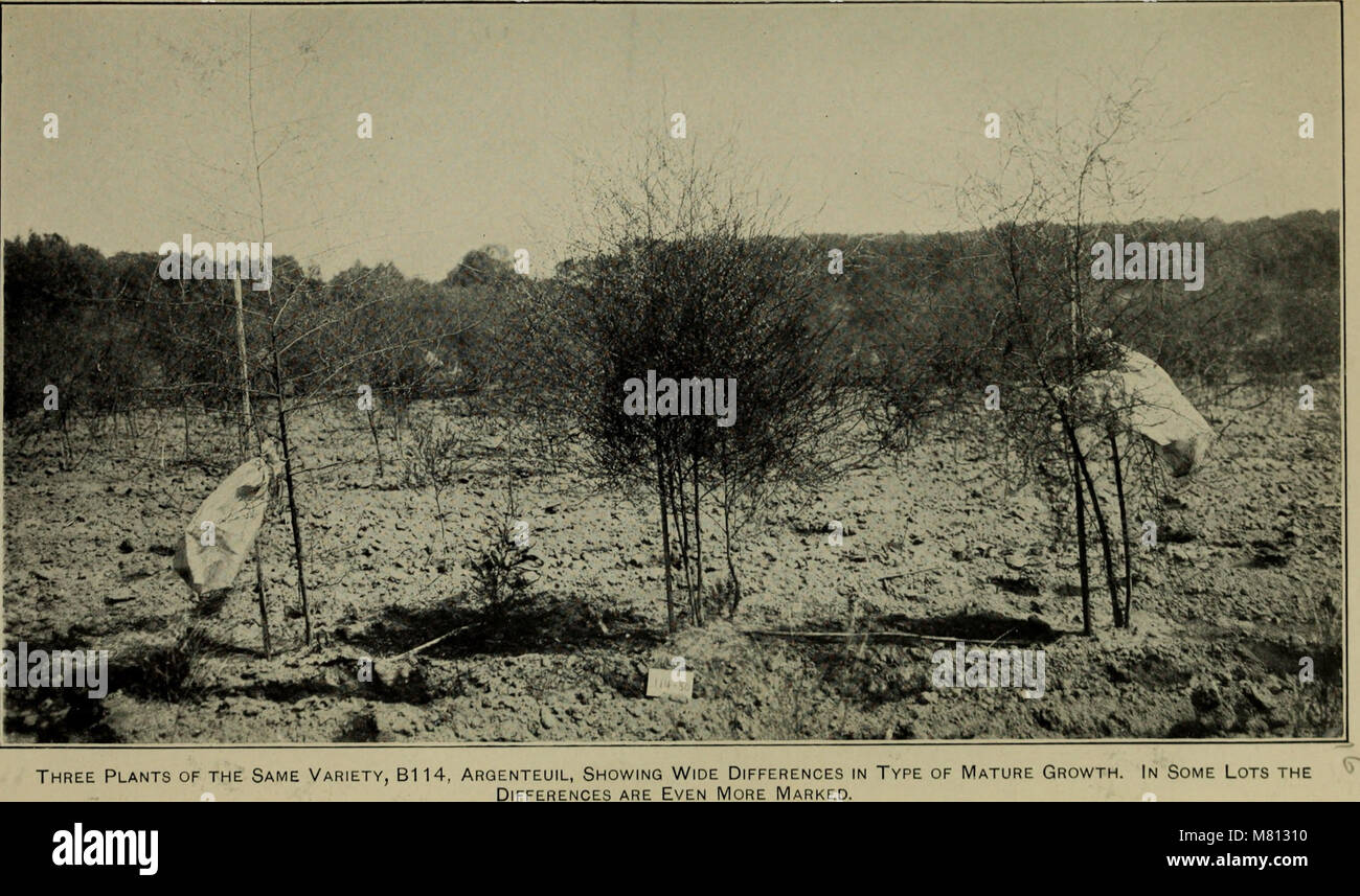 The Bulletin (1901-1913) is a periodical that provides scientific ...