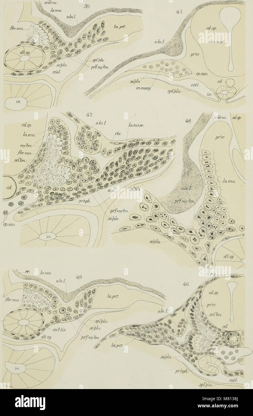 The 1863 Bulletin of the Museum of Comparative Zoology at Harvard ...