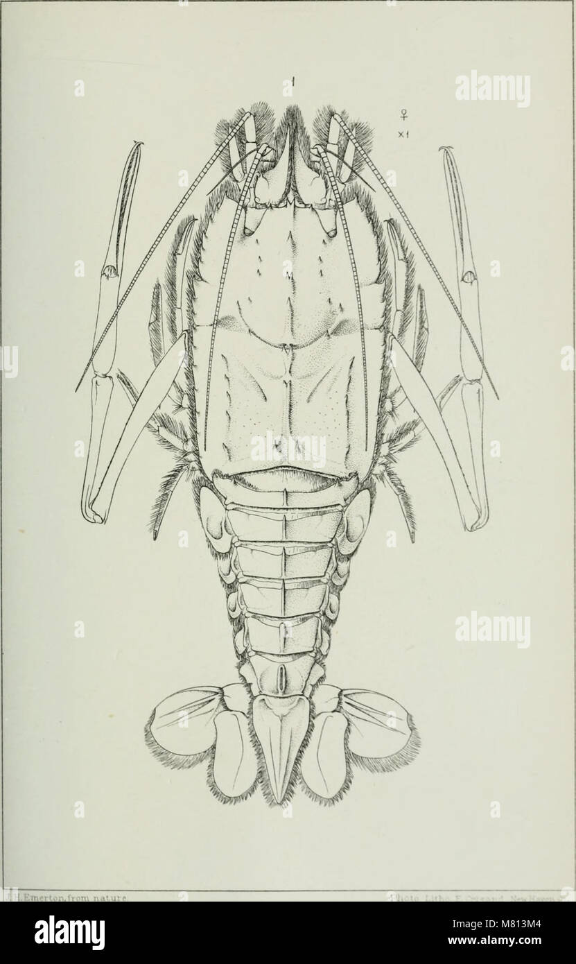 The 'Bulletin of the Museum of Comparative Zoology at Harvard College ...