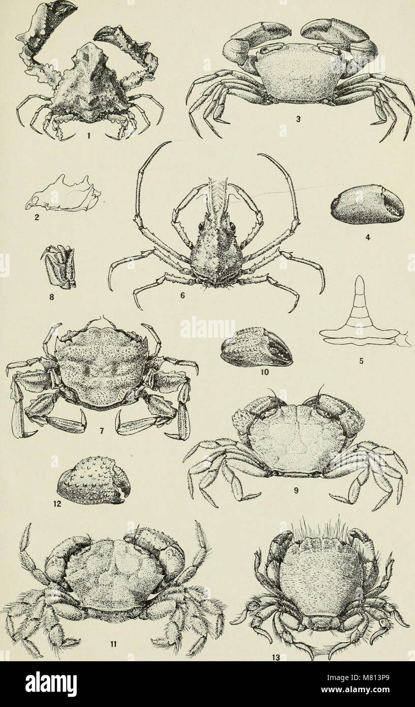 The 1863 'Bulletin of the Museum of Comparative Zoology at Harvard ...