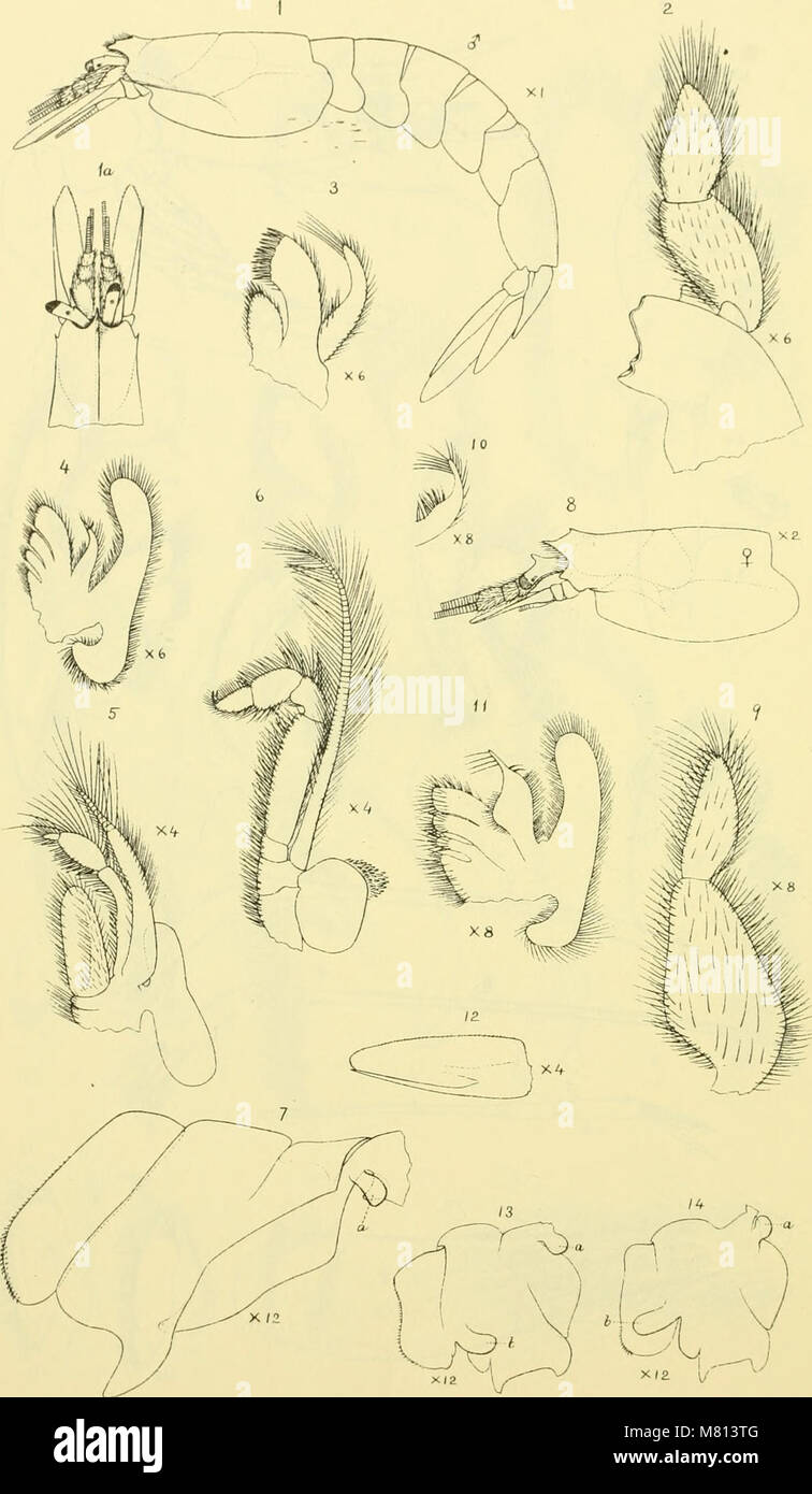 The Bulletin of the Museum of Comparative Zoology at Harvard College ...