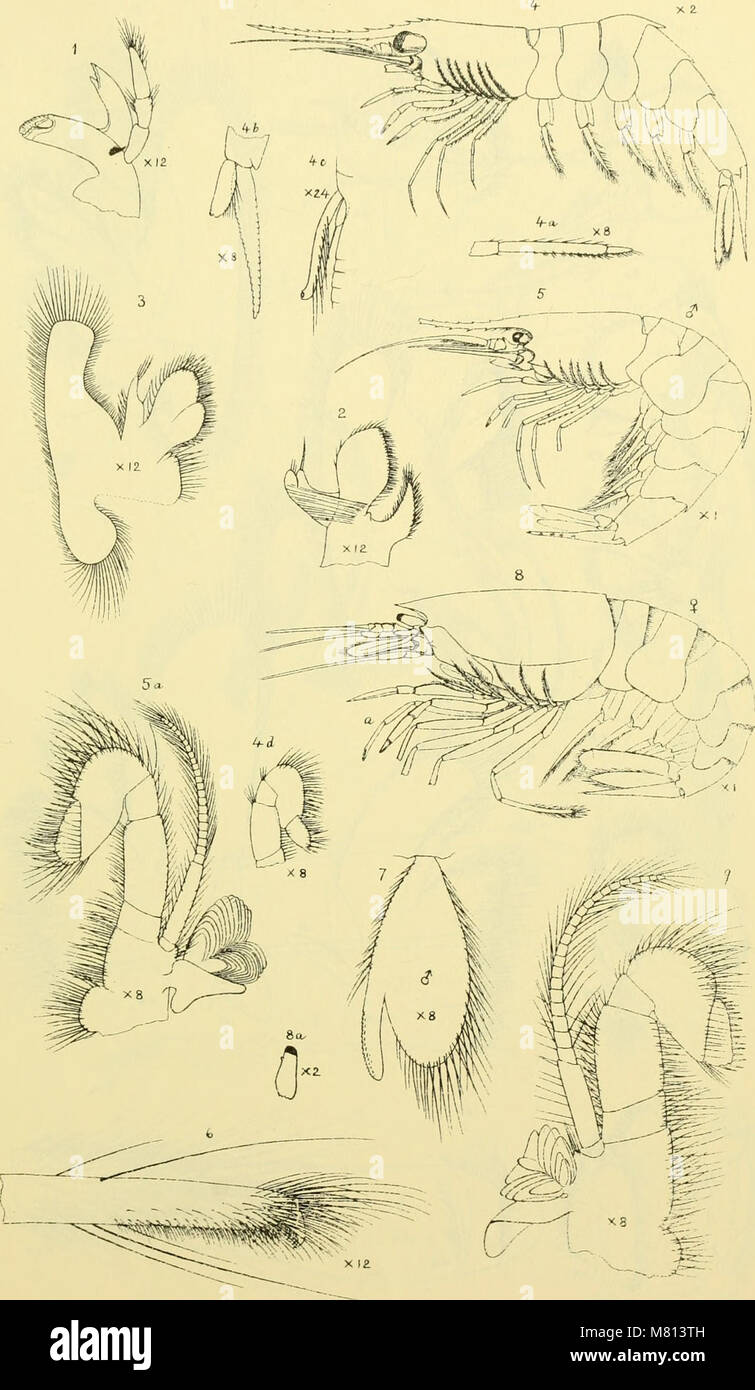 The *Bulletin of the Museum of Comparative Zoology at Harvard College ...