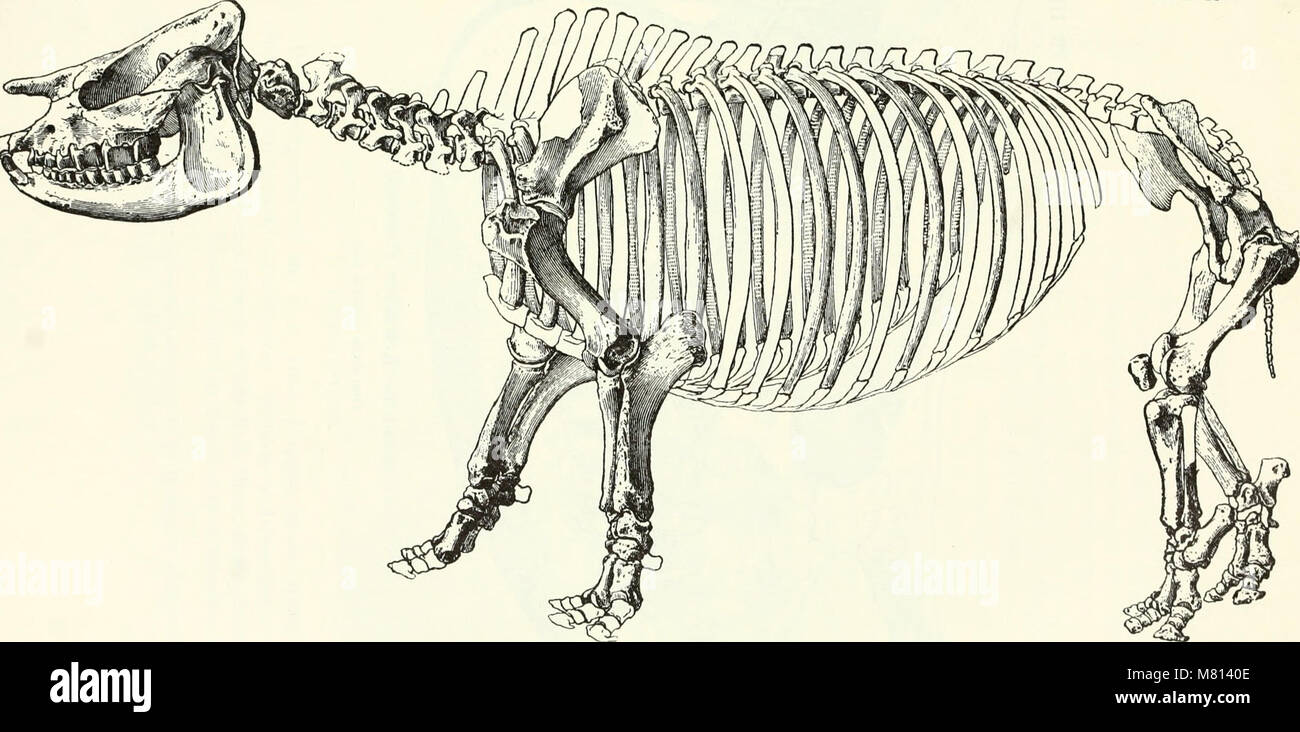 Bulletin of the Museum of Comparative Zoology at Harvard College (1890 ...