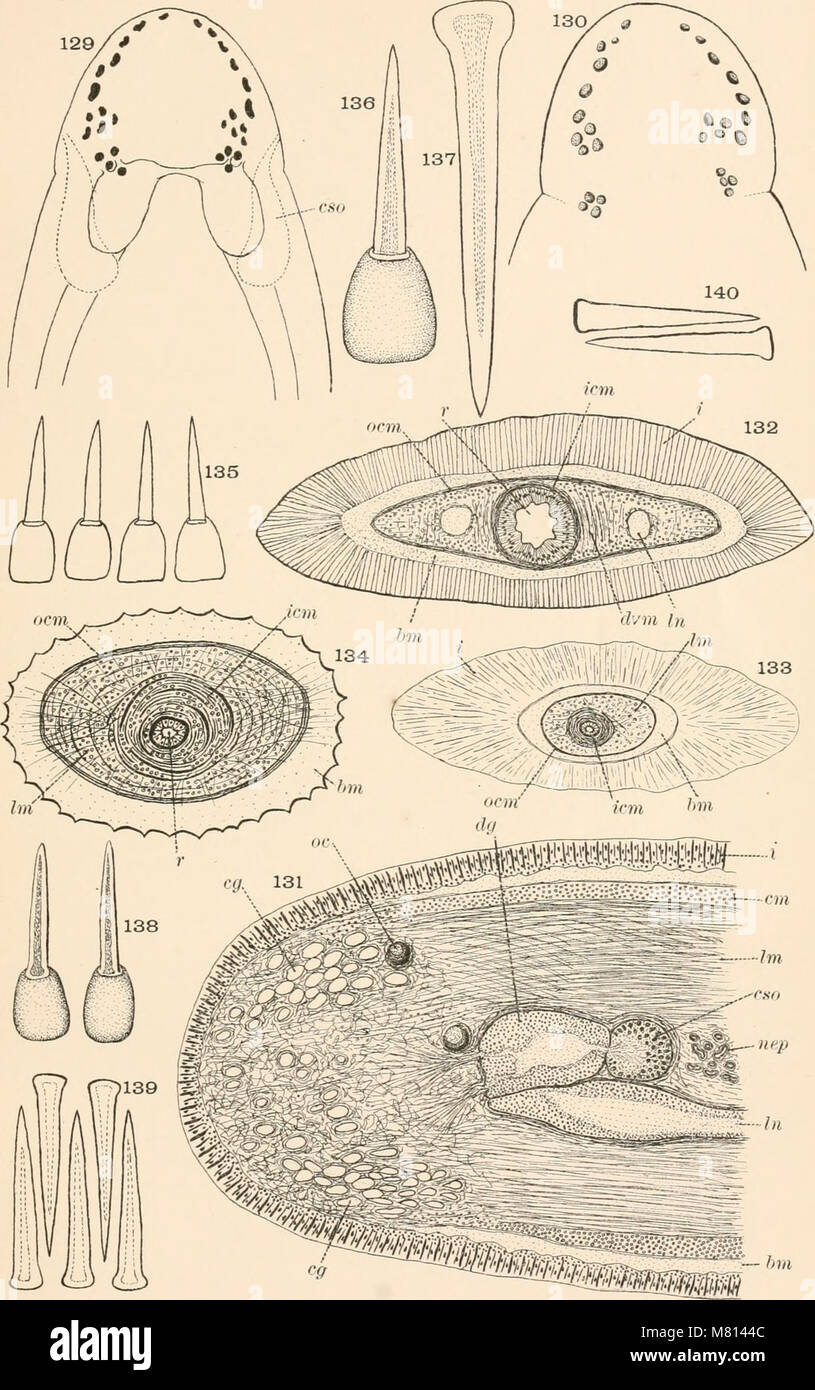 The 'Bulletin of the Museum of Comparative Zoology at Harvard College ...