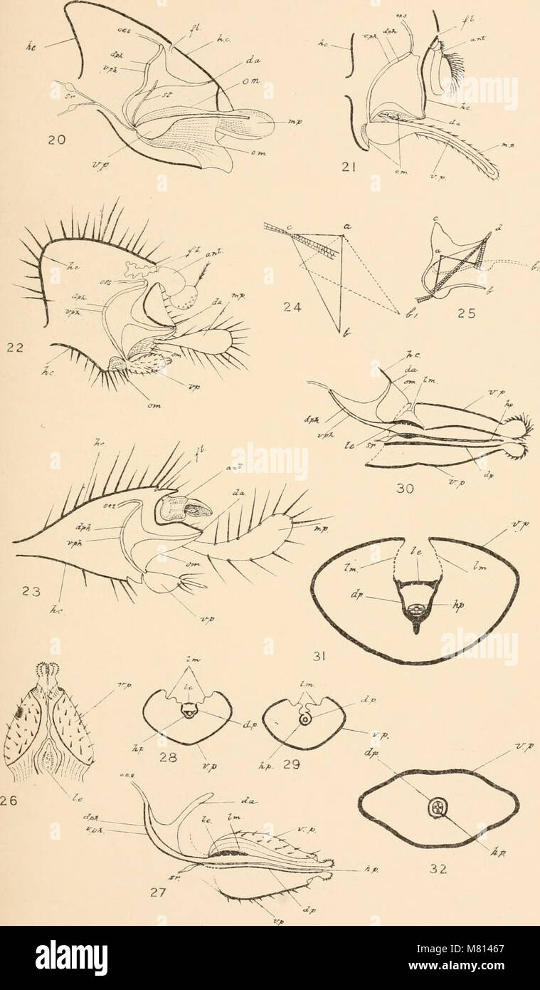 The *Bulletin of the Museum of Comparative Zoology* (1910-1913 ...