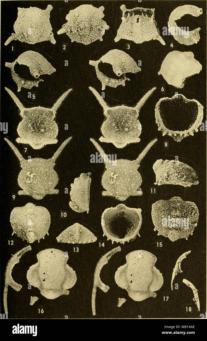 The 1959 Bulletin of the Museum of Comparative Zoology at Harvard ...
