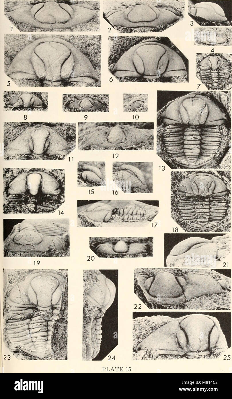 The Bulletin of the Museum of Comparative Zoology at Harvard College ...