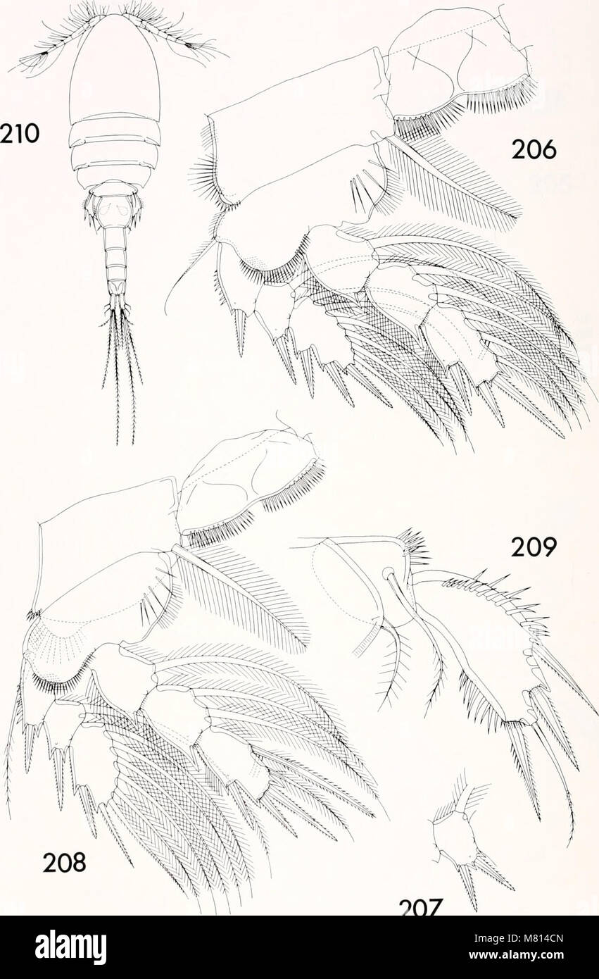 A bulletin from the Museum of Comparative Zoology at Harvard College ...