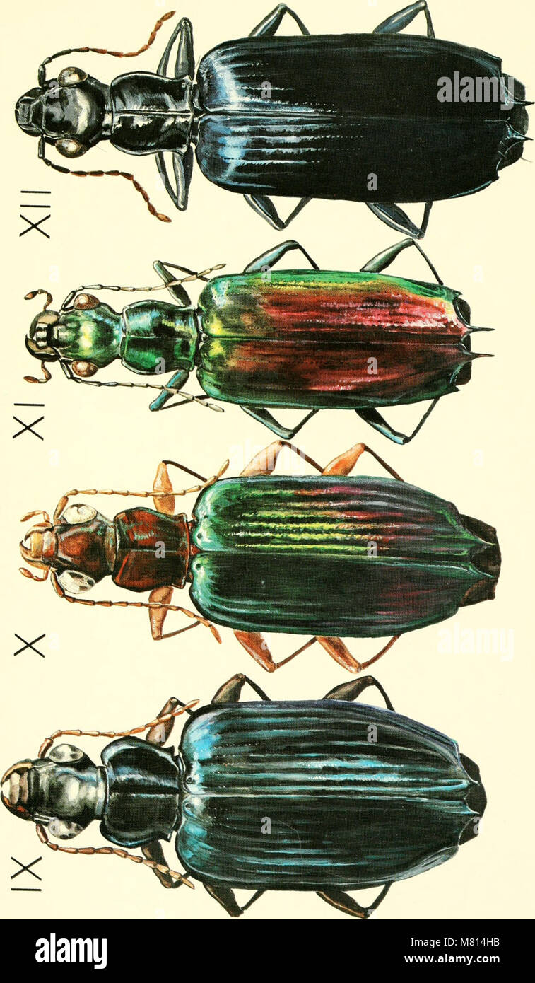 The Bulletin of the Museum of Comparative Zoology (1968-1969) publishes ...