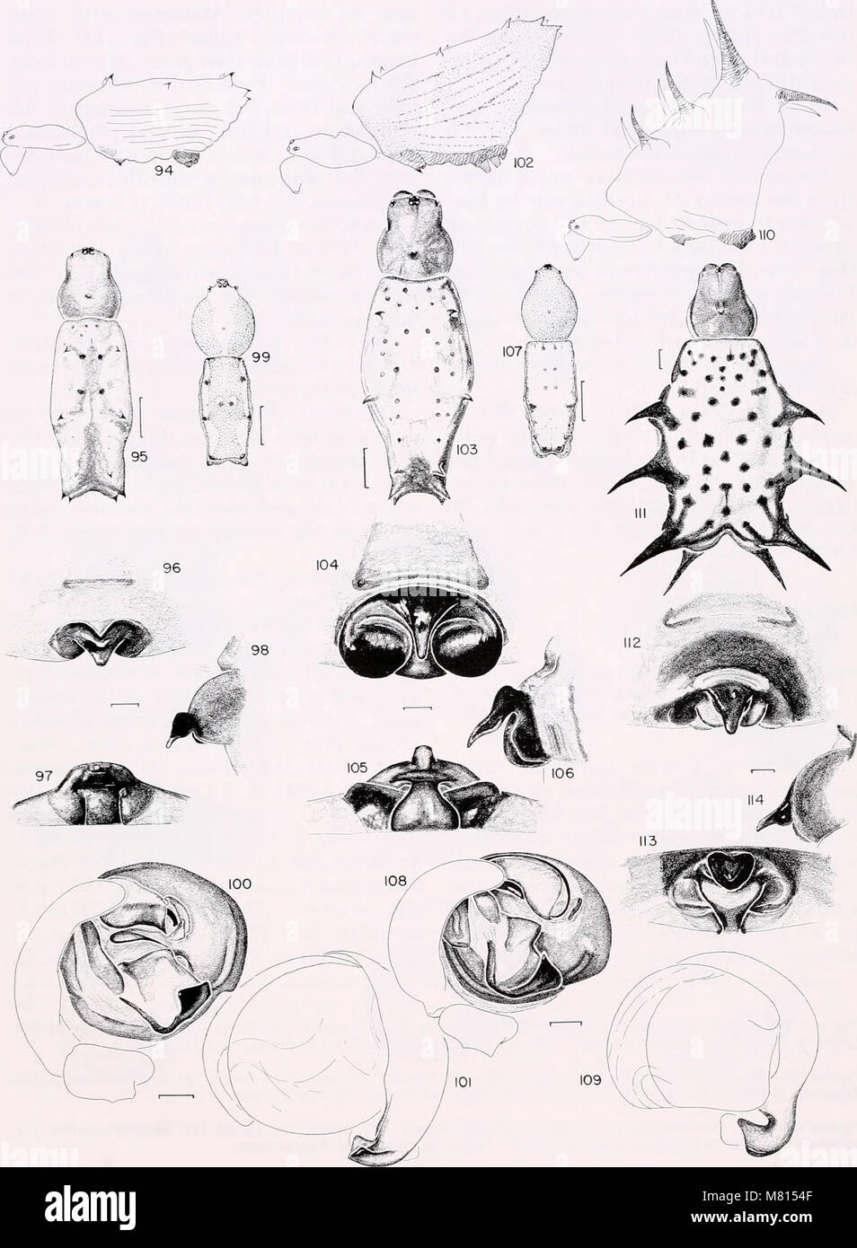 The Bulletin of the Museum of Comparative Zoology (1982-1985) presents ...